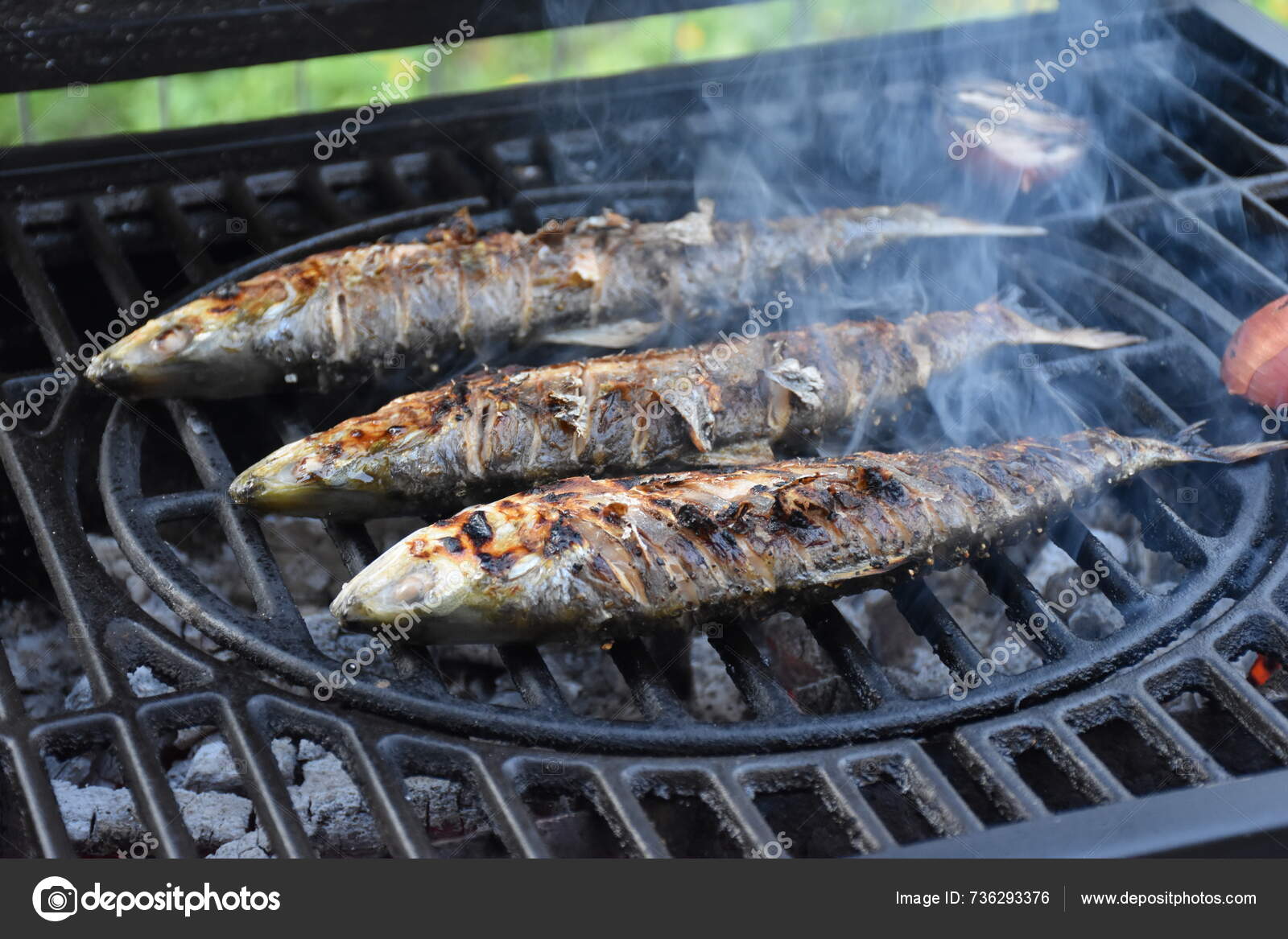 Danube Pontic Shad Grill Cooking Hot Wood Fire Alosa Immaculata — Stock ...