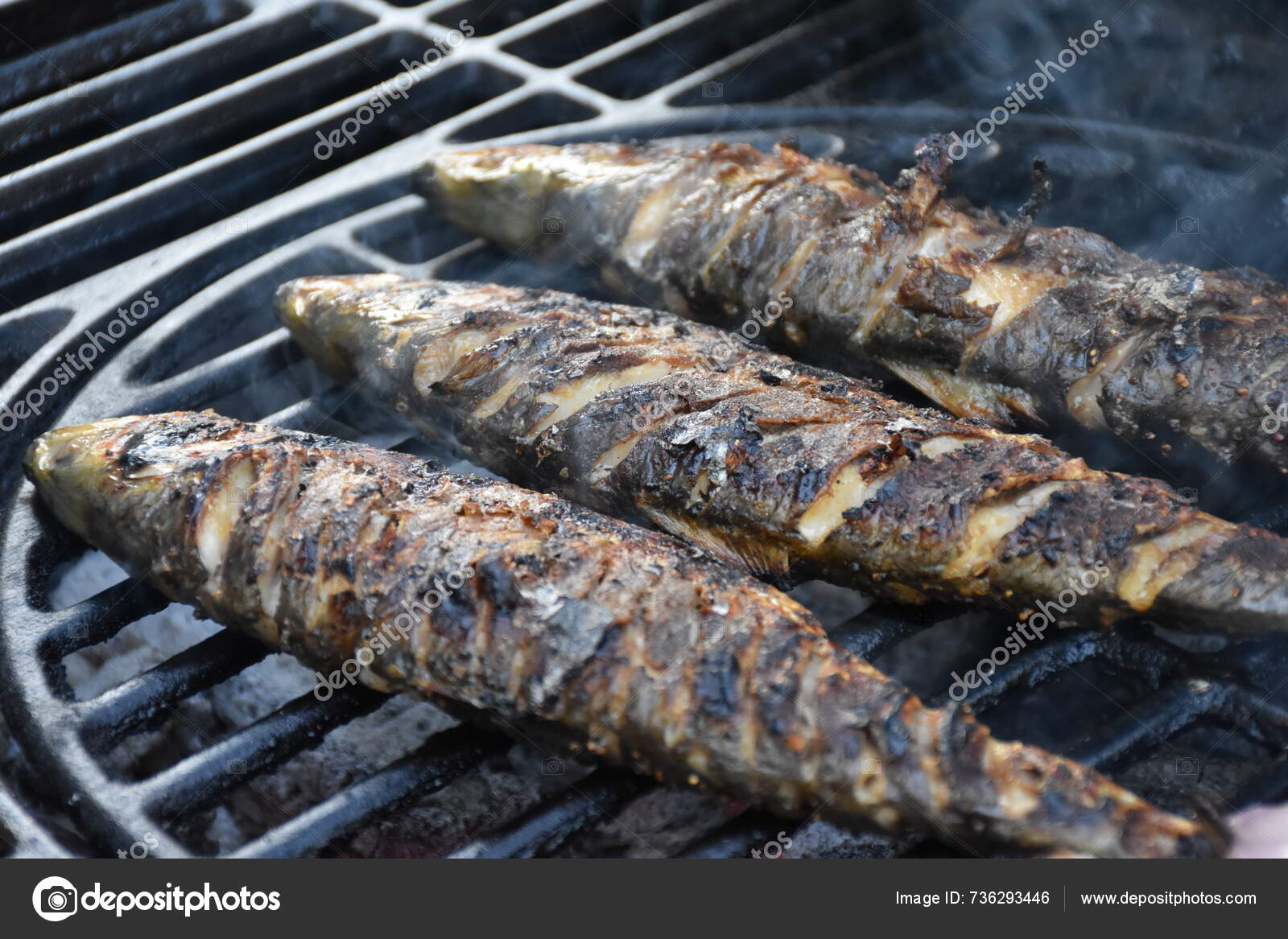 Danube Pontic Shad Grill Cooking Hot Wood Fire Alosa Immaculata — Stock ...