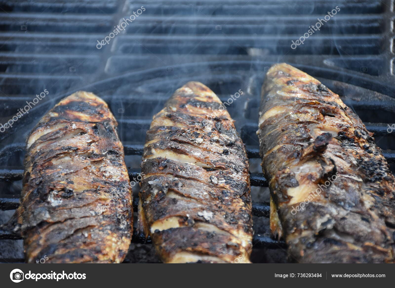 Danube Pontic Shad Grill Cooking Hot Wood Fire Alosa Immaculata — Stock ...