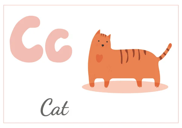 Alfabeto animal con gato Stock Photos, Royalty Free Alfabeto animal con ...