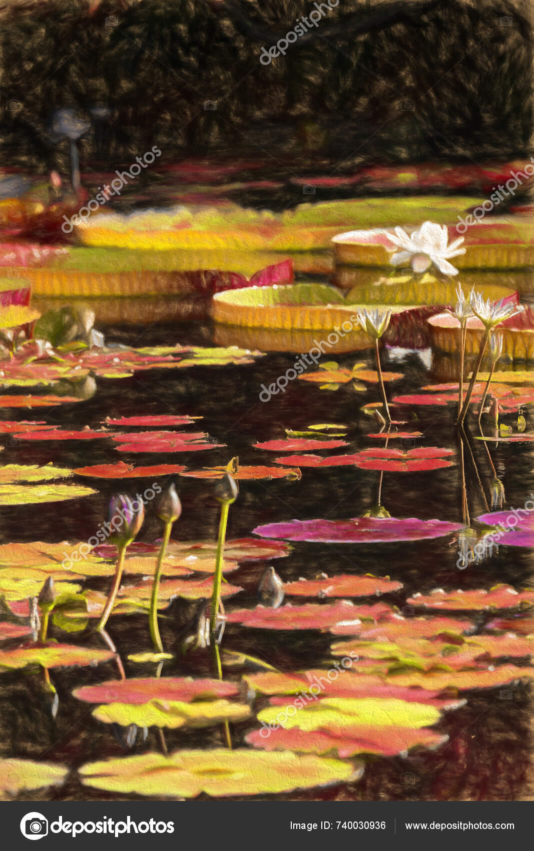 Lush Water Plants Large Lily Pads Floating Serene Pond Capturing ...