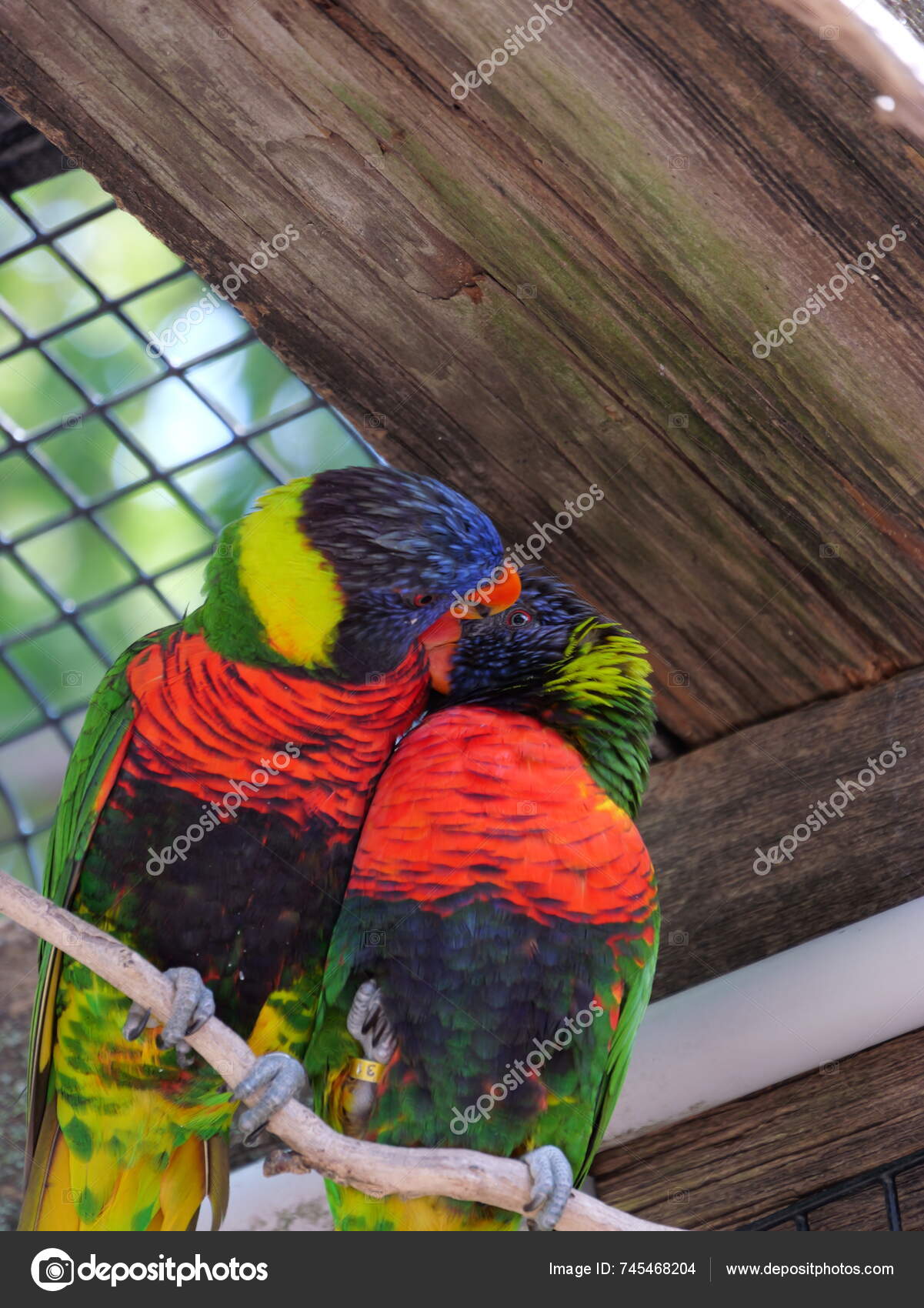 Topeka Kansas September 2024 Nice Sunny Fall Weather Zoo — Stock Photo ...