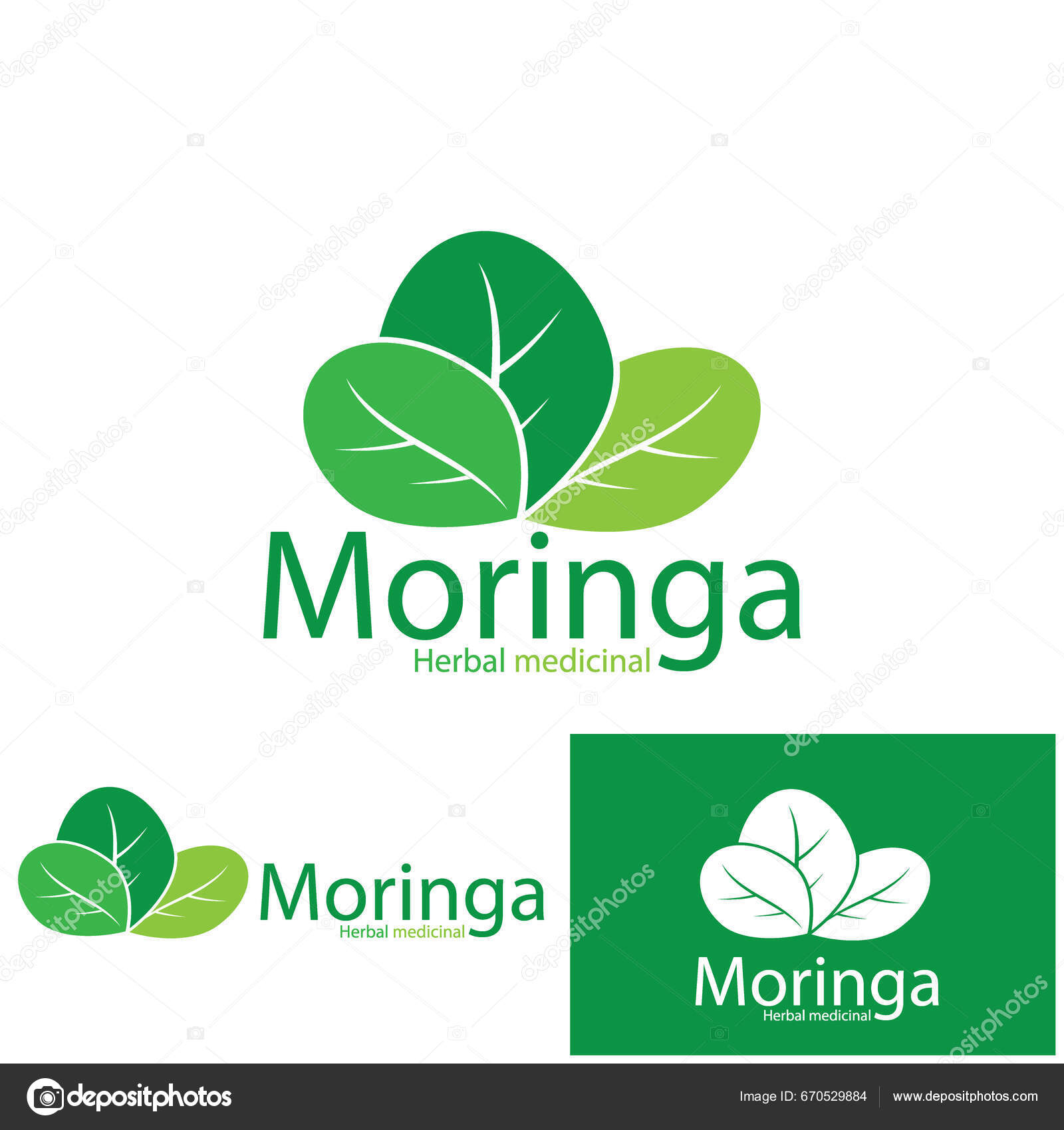 Moringa Leaves Icon Vector Illustration Template Design Stock Vector by ...