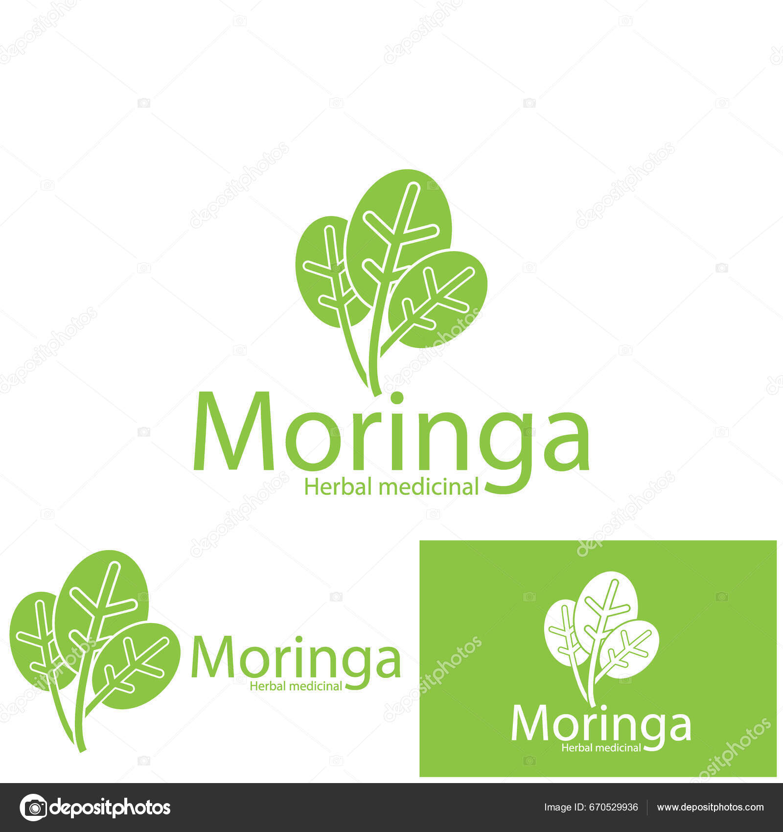 Moringa Leaves Icon Vector Illustration Template Design Stock Vector by ...