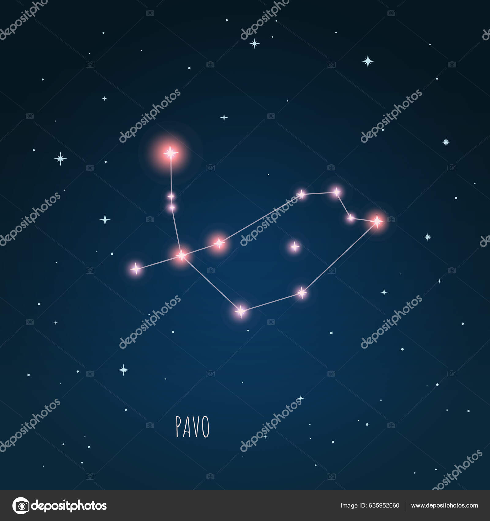 Pavo Constellation Scheme Starry Sky Open Space Vector Illustration ...