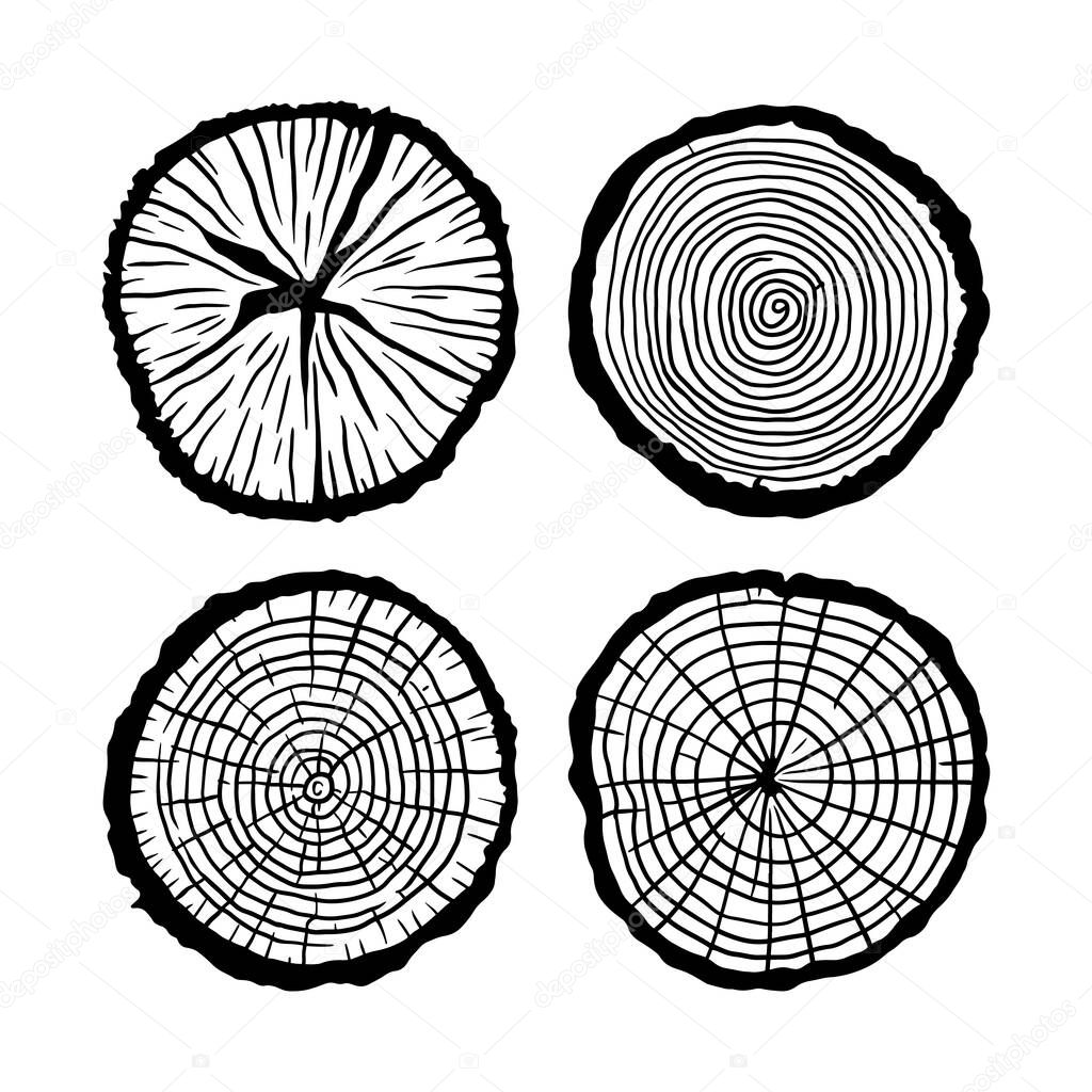 Tree Ring Clipart, Wood Slice SVG, Log Cross Section Illustration, Tree ...