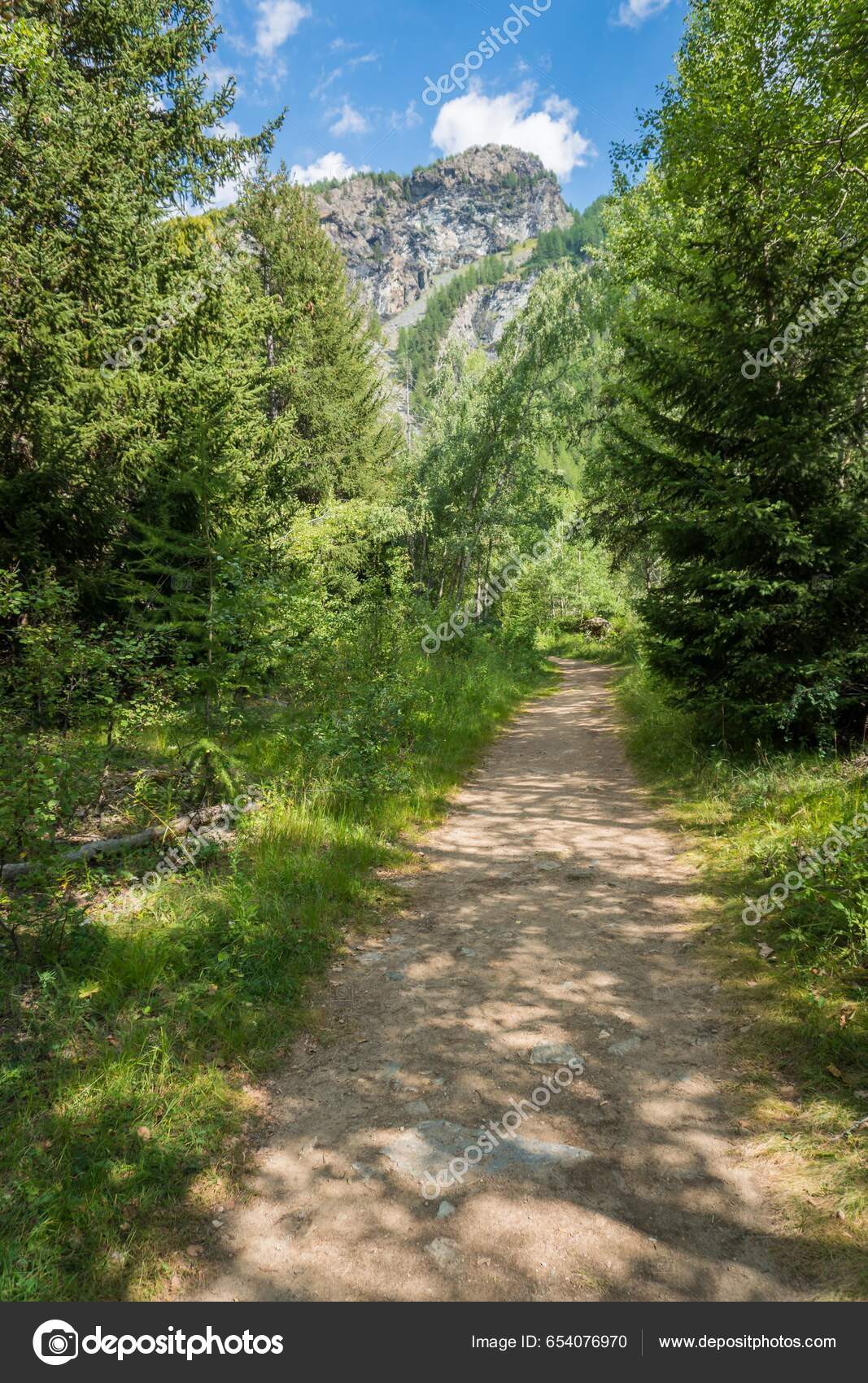 Mountain Trekking Pathway Alpine Valleys — Stock Photo © fabrizioconte ...
