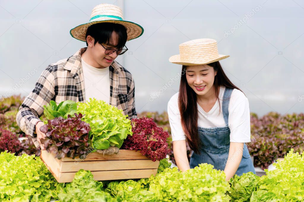 Dos propietarios de agronegocios en pareja agricultor trabajando y ...