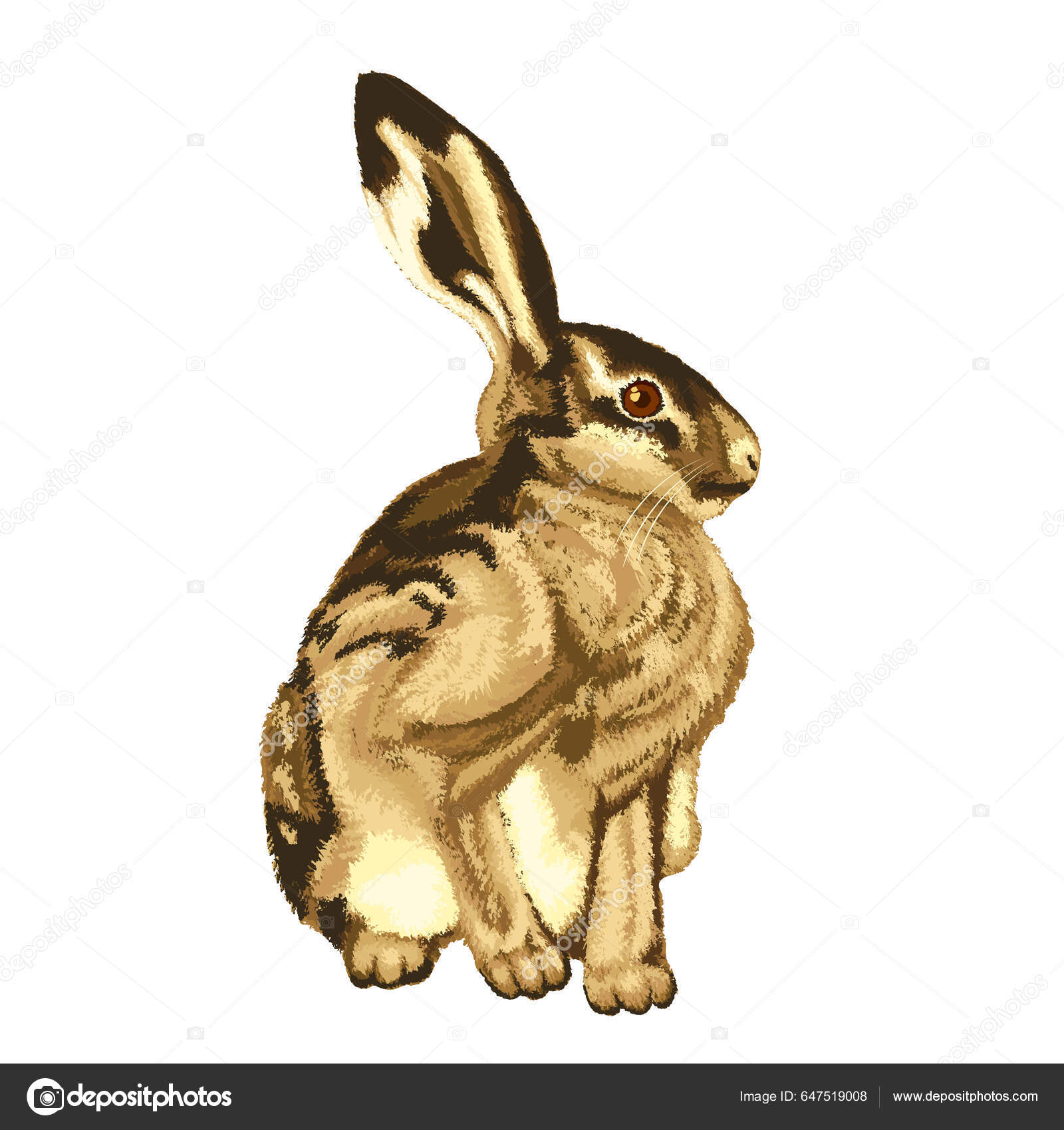 Vector Illustration Sitting Hare Hare Vector Graphic Transparent ...