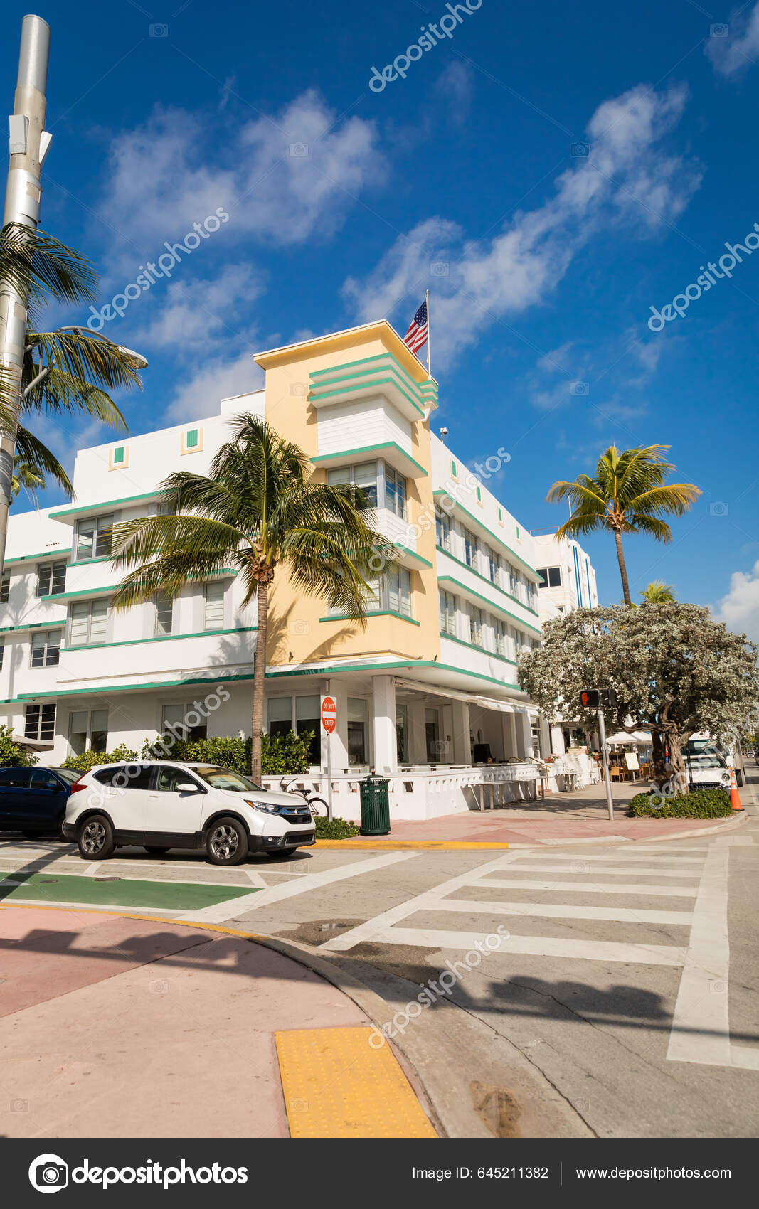 Green Palm Trees Growing Next Road Modern Condominium Miami — Stock ...