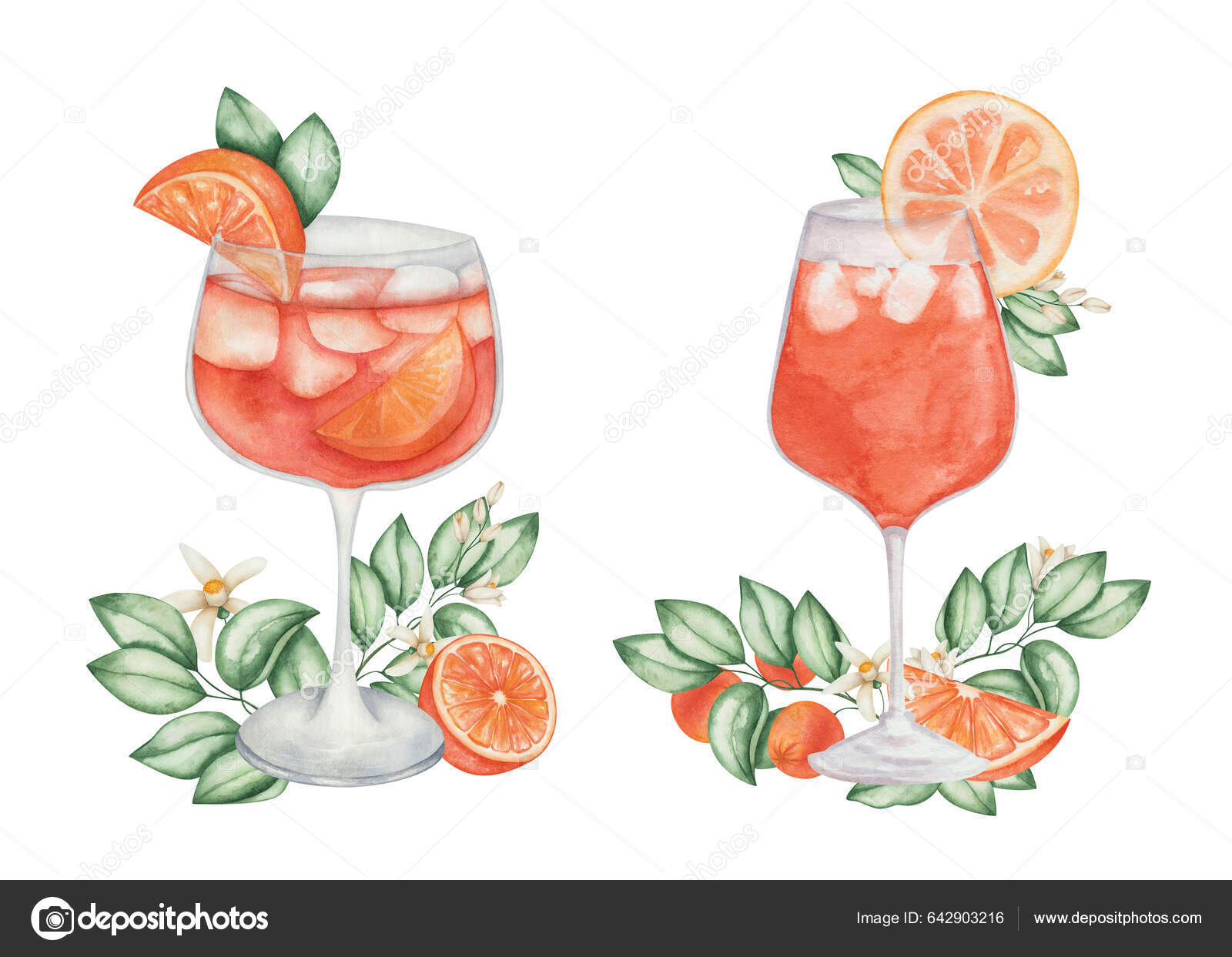 Watercolor Illustration Hand Painted Orange Cocktails Glass Slice ...