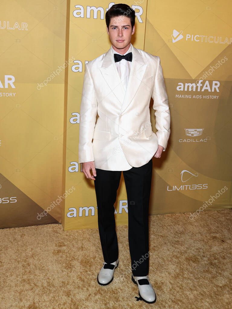 Blake Gray llega a la Gala AmfAR 2022 Los Ángeles celebrada en el ...