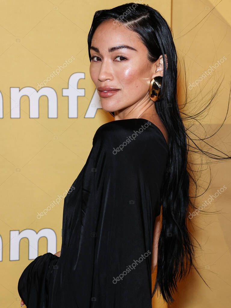 Stephanie Shepherd llega a la Gala AmfAR 2022 Los Ángeles celebrada en ...