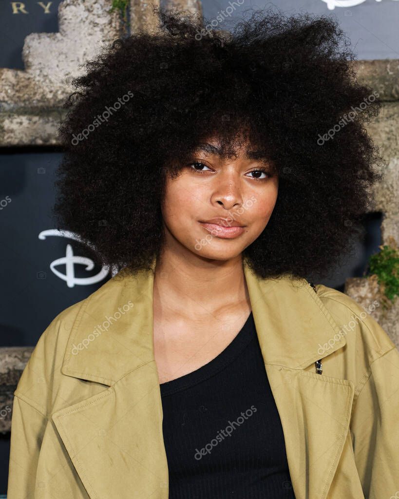 Mychal-Bella Bowman llega al Disney + Original Series 'National ...
