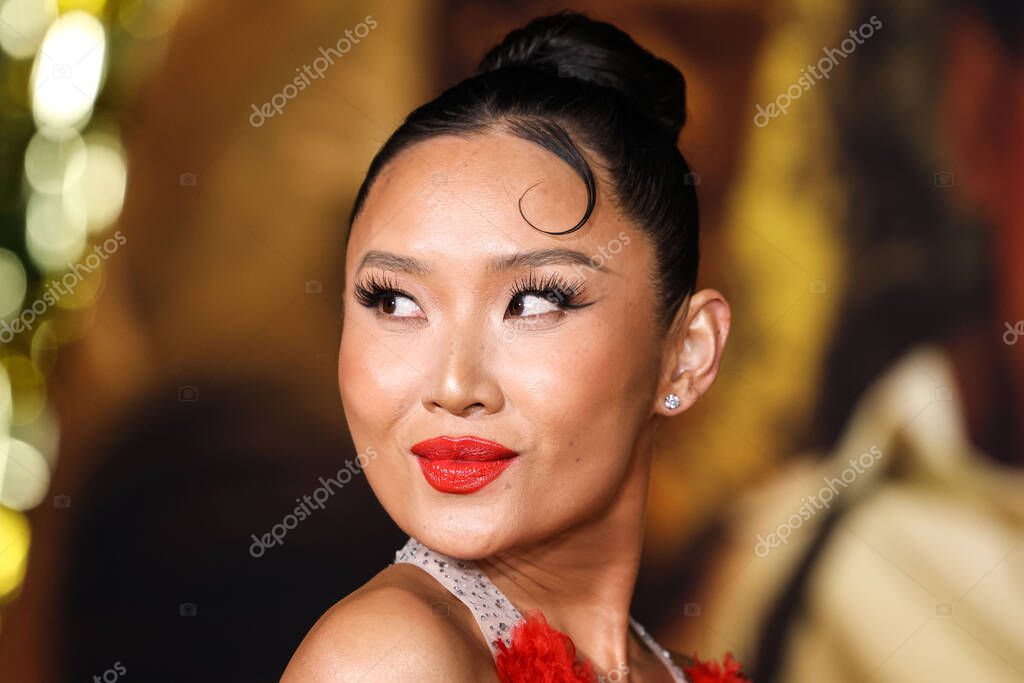 La actriz estadounidense Li Jun Li llega al estreno mundial de ...