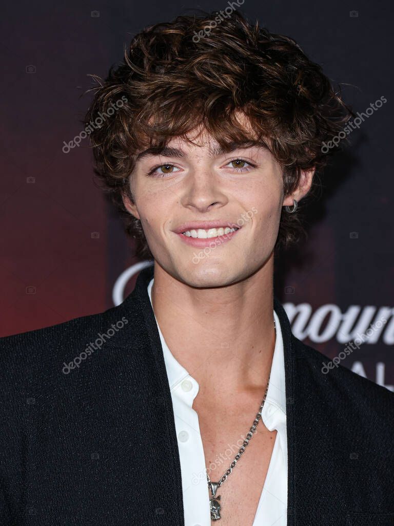 American actor Tyler Lawrence Gray arrives at the Los Angeles Premiere ...