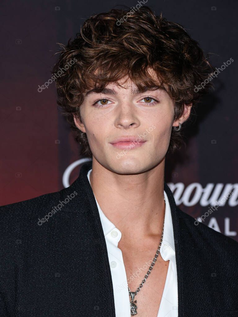 American actor Tyler Lawrence Gray arrives at the Los Angeles Premiere ...