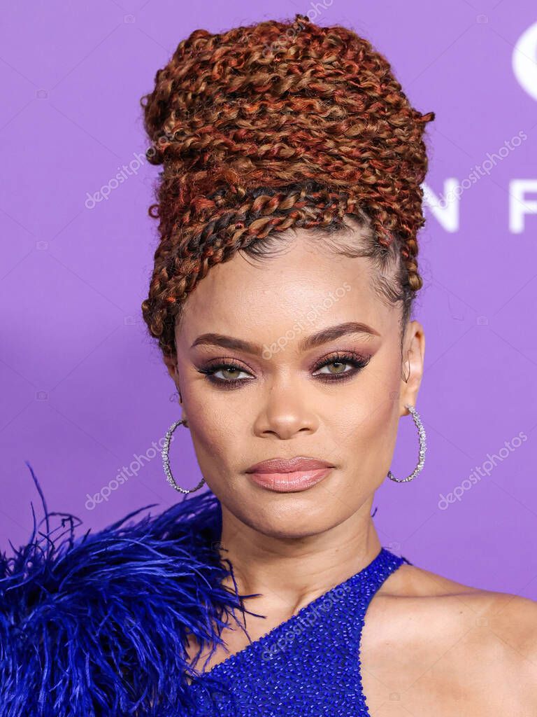 Andra Day llega a la 55ª edición de los Premios NAACP Image Awards ...