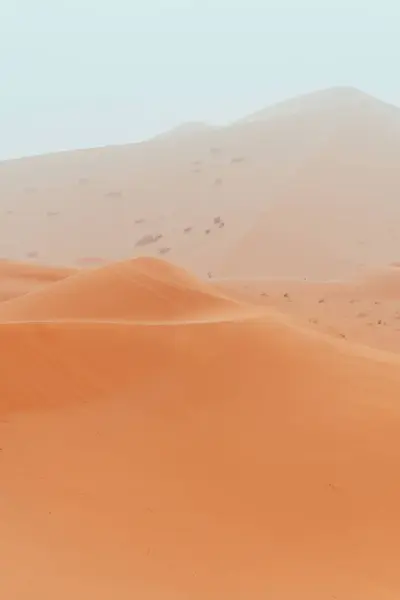 Fotos de A summary of the desert, Imagens de A summary of the desert ...