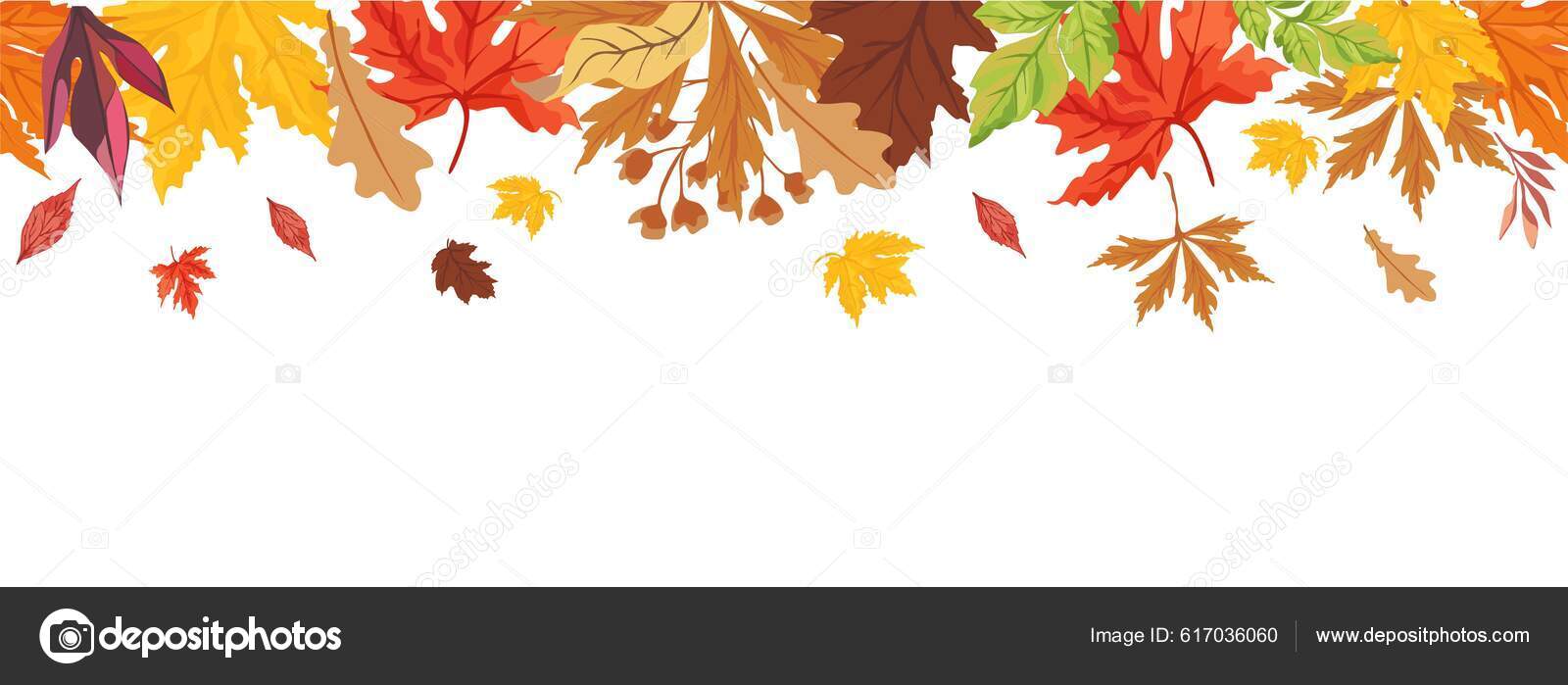 Autumn Leaves Border Isolated White Background Red Yellow Orange Fall ...