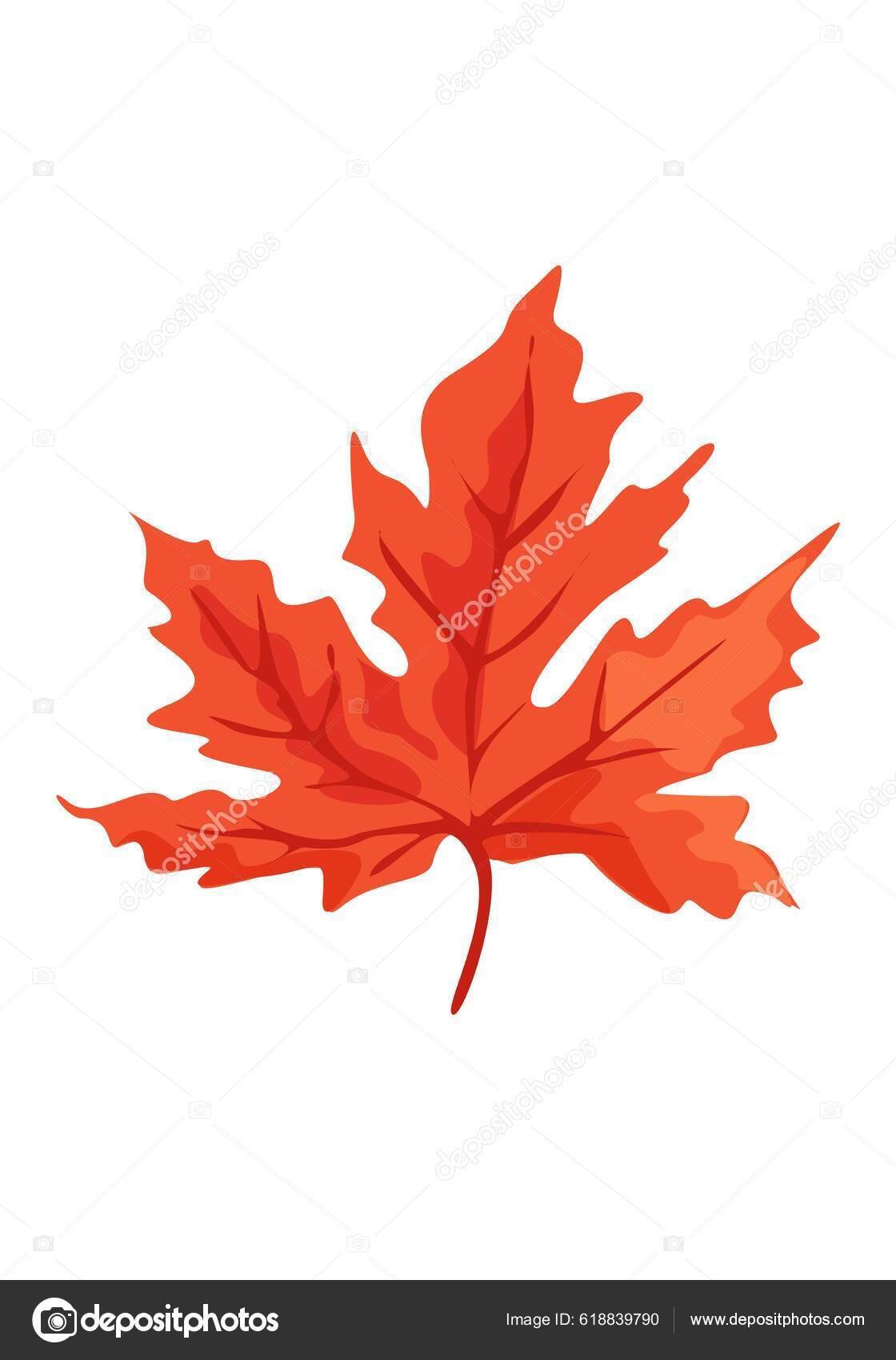 Red Leaf Clipart