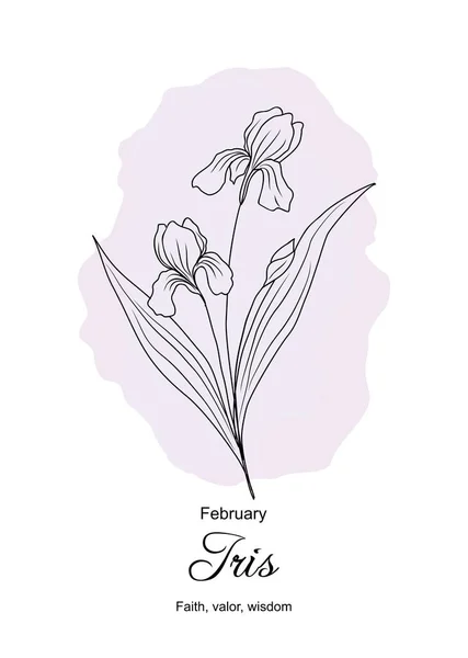 Narcissus December Birth Month Flower Print Botanical Floral Line Art ...