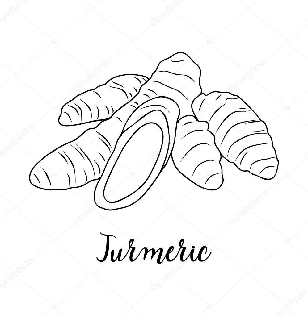 Ilustración vectorial en blanco y negro de especias de cúrcuma aisladas ...