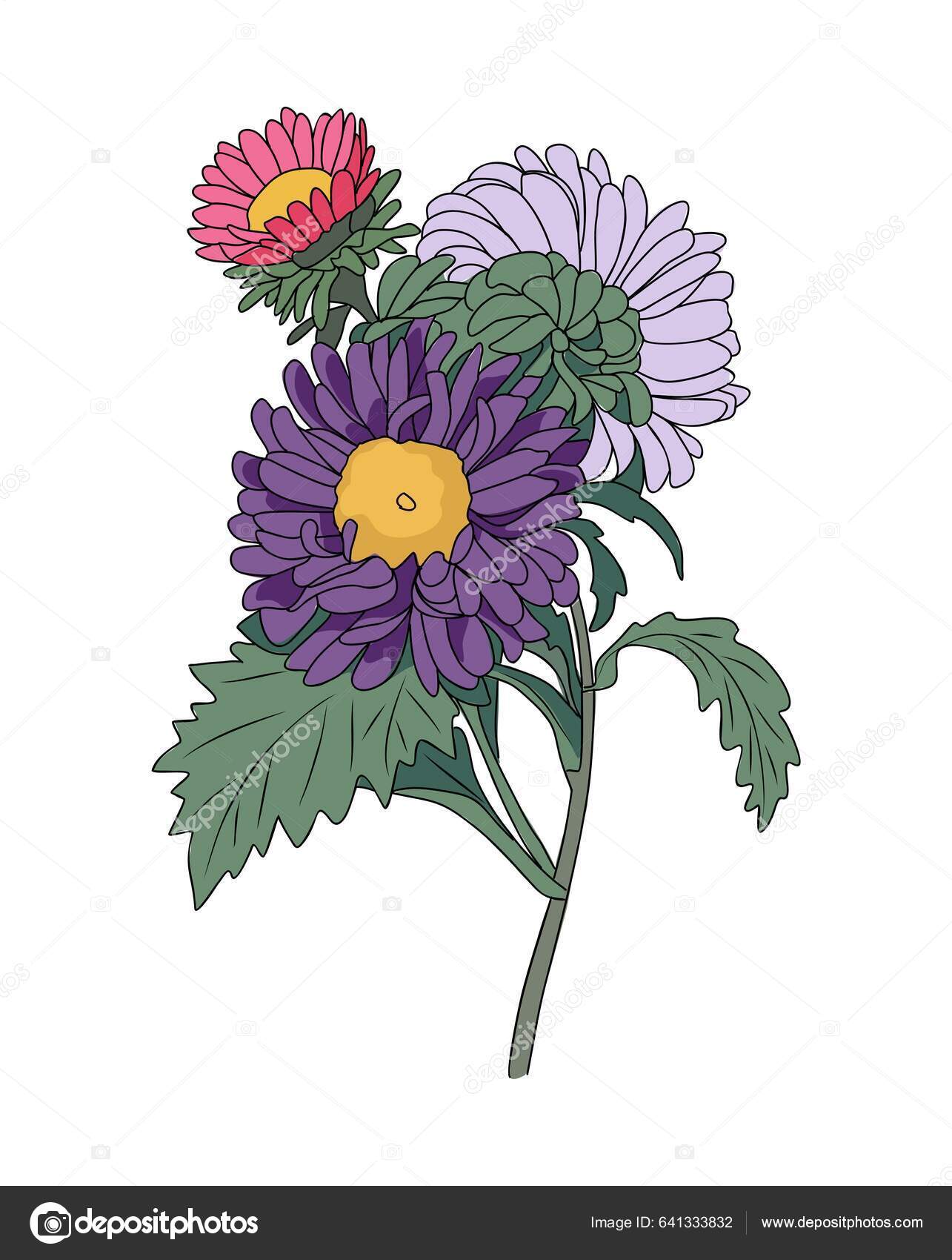 September Aster Blomst Tegning Birth Flower Bouquet With A Marigold,