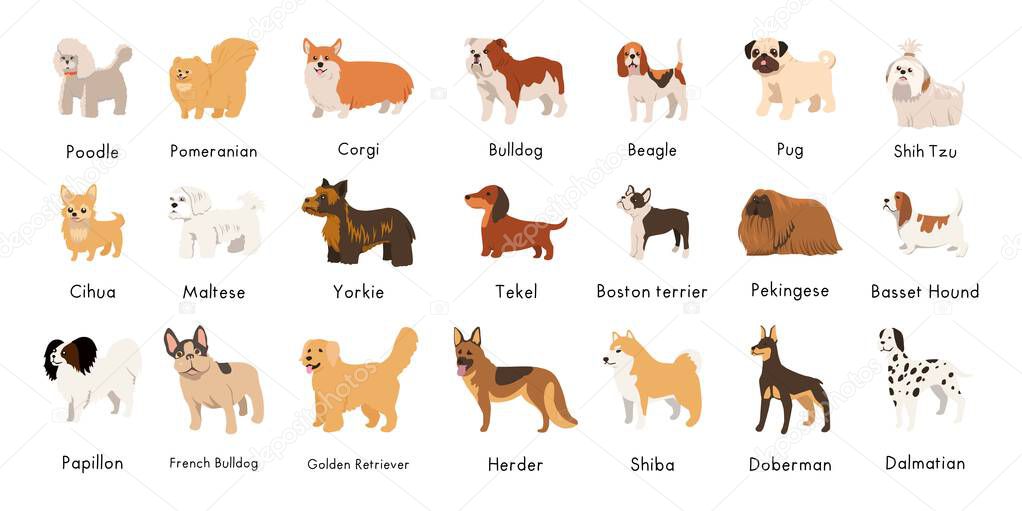 Imagenes De Lindos Perros Y Cachorros