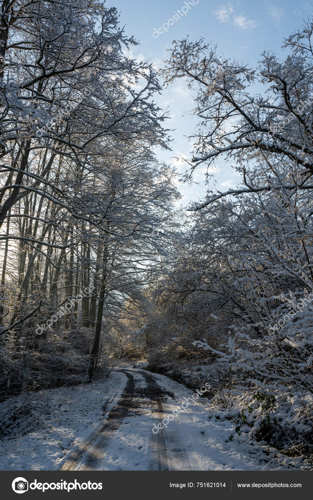 Lonely Road Winter Trees Snow — Stock Photo © FotoEvans #751621014