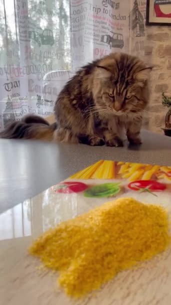 192 Main positive Stock Videos, 4K & HD Footage | Depositphotos