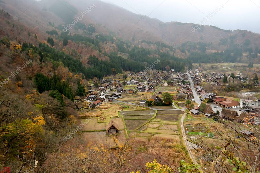 Japón 2015 Nov 22, Okuno jima Island o kunoshima Rabbit Island es una ...