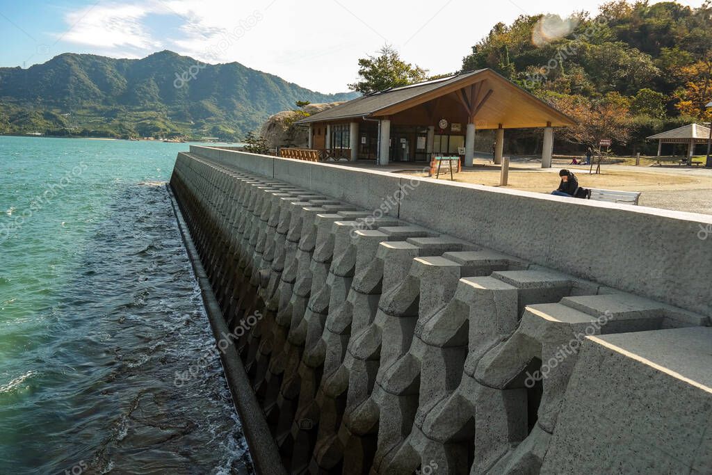 Japón 2015 Nov 22, Okuno jima Island o kunoshima Rabbit Island es una ...