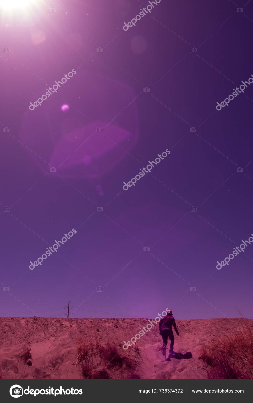 Photographs April 2024 Eclipse Taken Camera Modified Infrared ...