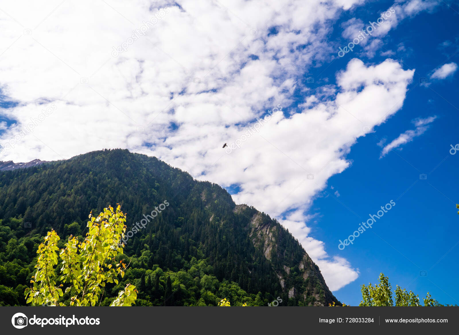 Journey Nature's Splendor Enchanting Path Hemkund Sahib — Stock Photo ...