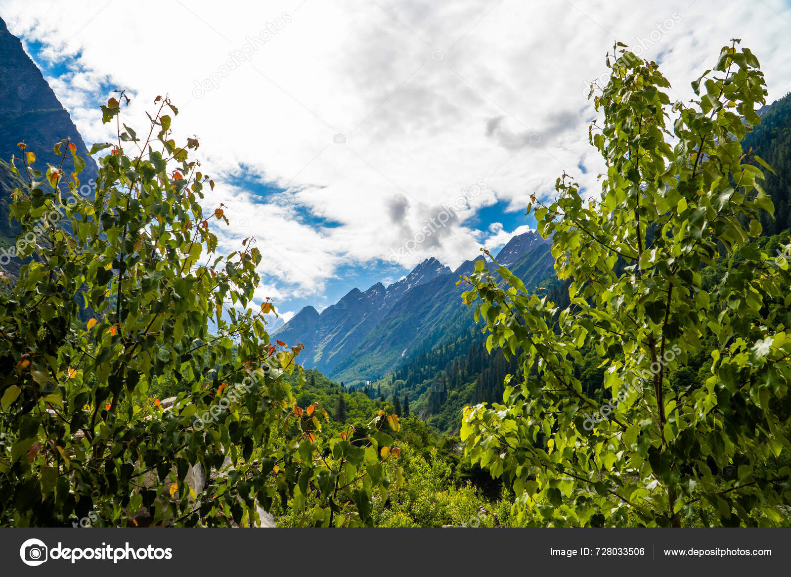 Journey Nature's Splendor Enchanting Path Hemkund Sahib — Stock Photo ...