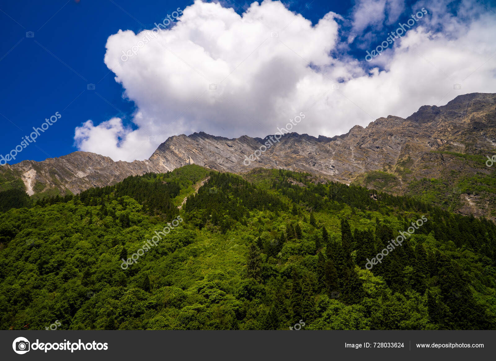 Journey Nature's Splendor Enchanting Path Hemkund Sahib — Stock Photo ...