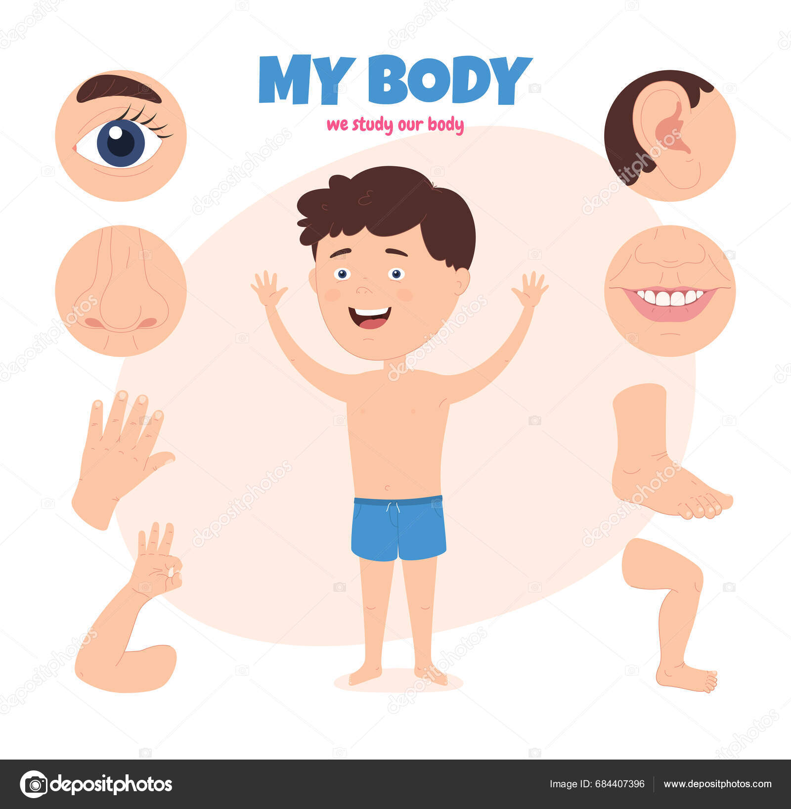 Body Parts Child Scheme Different External Parts Boy Body Studying ...