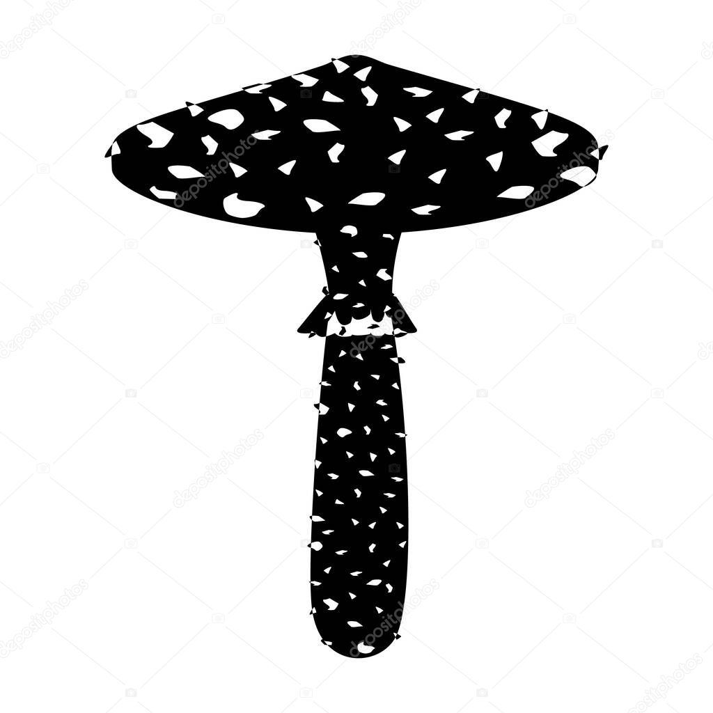 Toadstool mushroom in outline style. Edible Organic mushrooms. Truffle ...