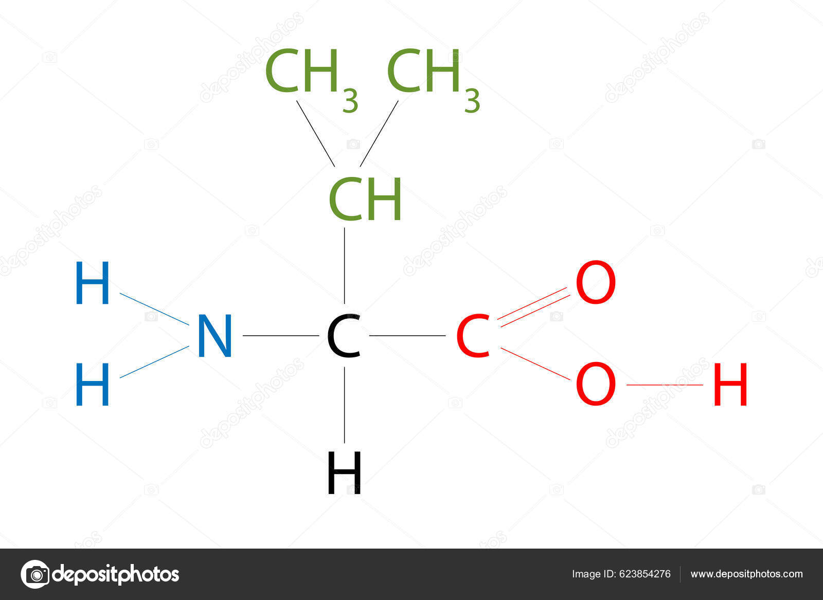 Valine Structure