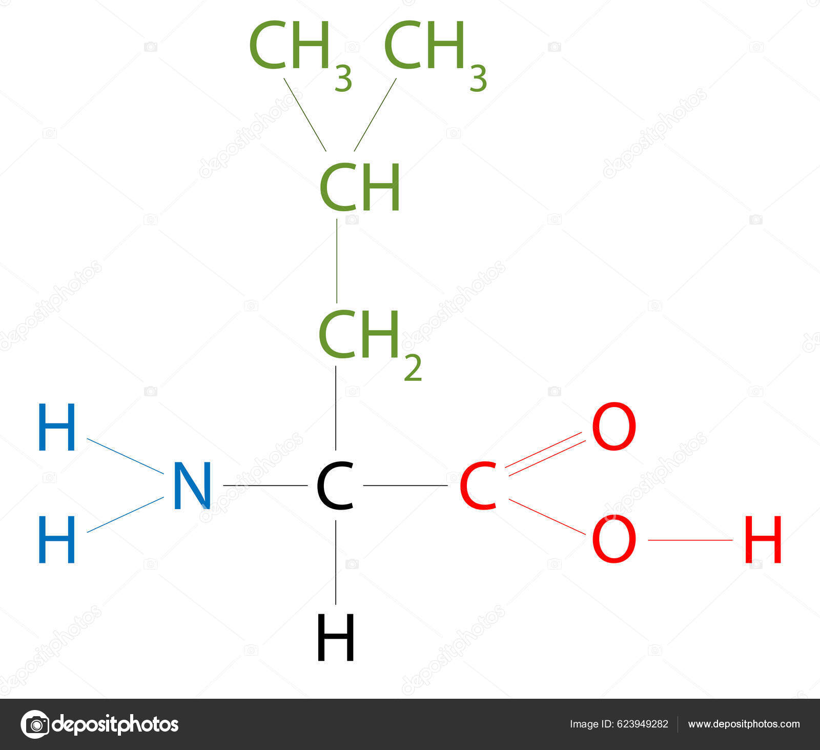 Estructura Leucina Leucina Aminoácido Que Tiene Grupo Isobutílico ...