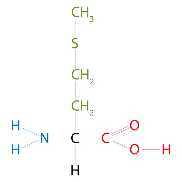 Molecular structure of methionine Stock Photos, Royalty Free Molecular ...