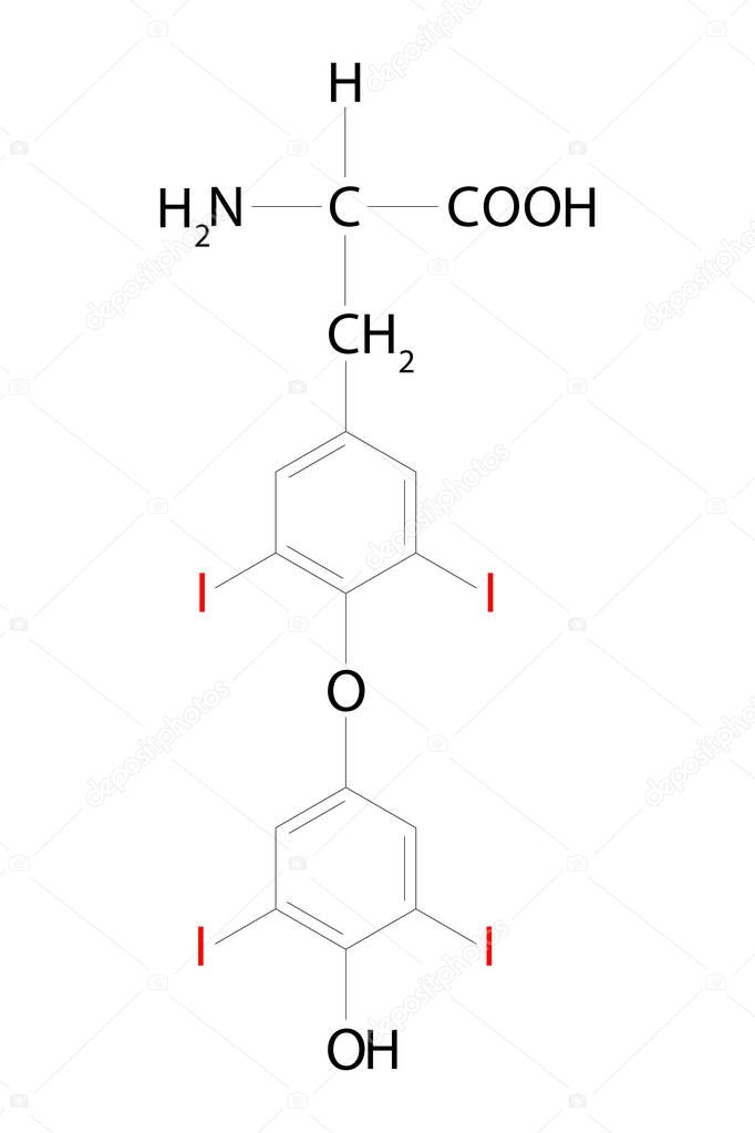 Tiroxina (T4). Una de las dos hormonas principales secretadas por la ...