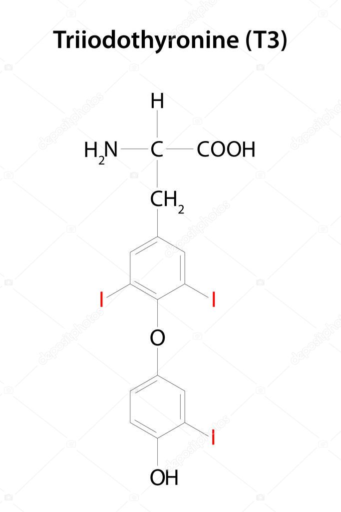 Triyodotironina (T3). Una de las dos hormonas principales secretadas ...