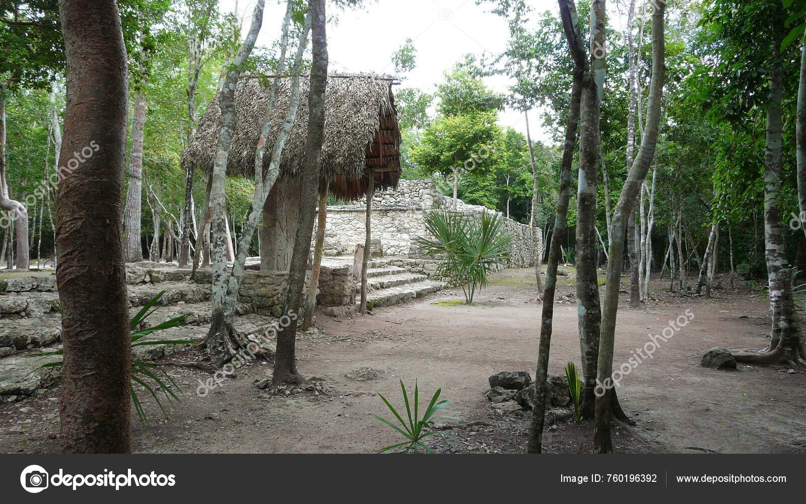 Mayan Archaeological Zone Coba Quintana Roo Mexico — Stock Photo ...