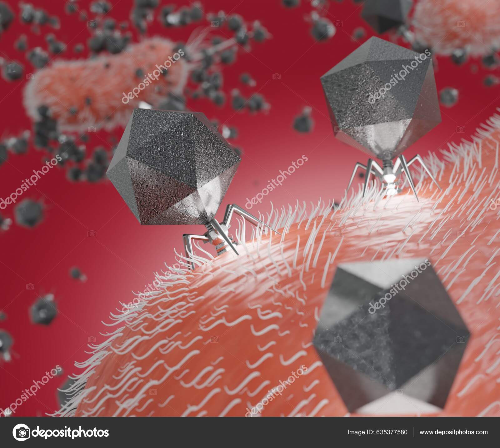 Podoviridae Bacteriophage Swarming Infecting Pseudomonas Bacteria ...