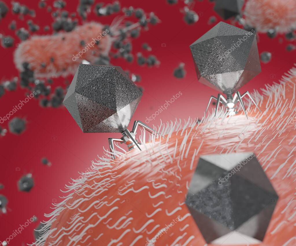 Podoviridae T7 bacteriophage is swarming and infecting pseudomonas ...