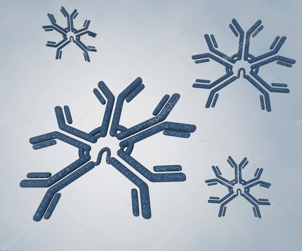 The Redefined Structure of Antibody IgM. Isolated new structure of ...
