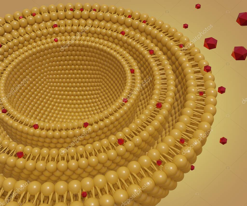 Vesícula multilaminar aislada con molécula de nanofármacos hidrofóbicos ...