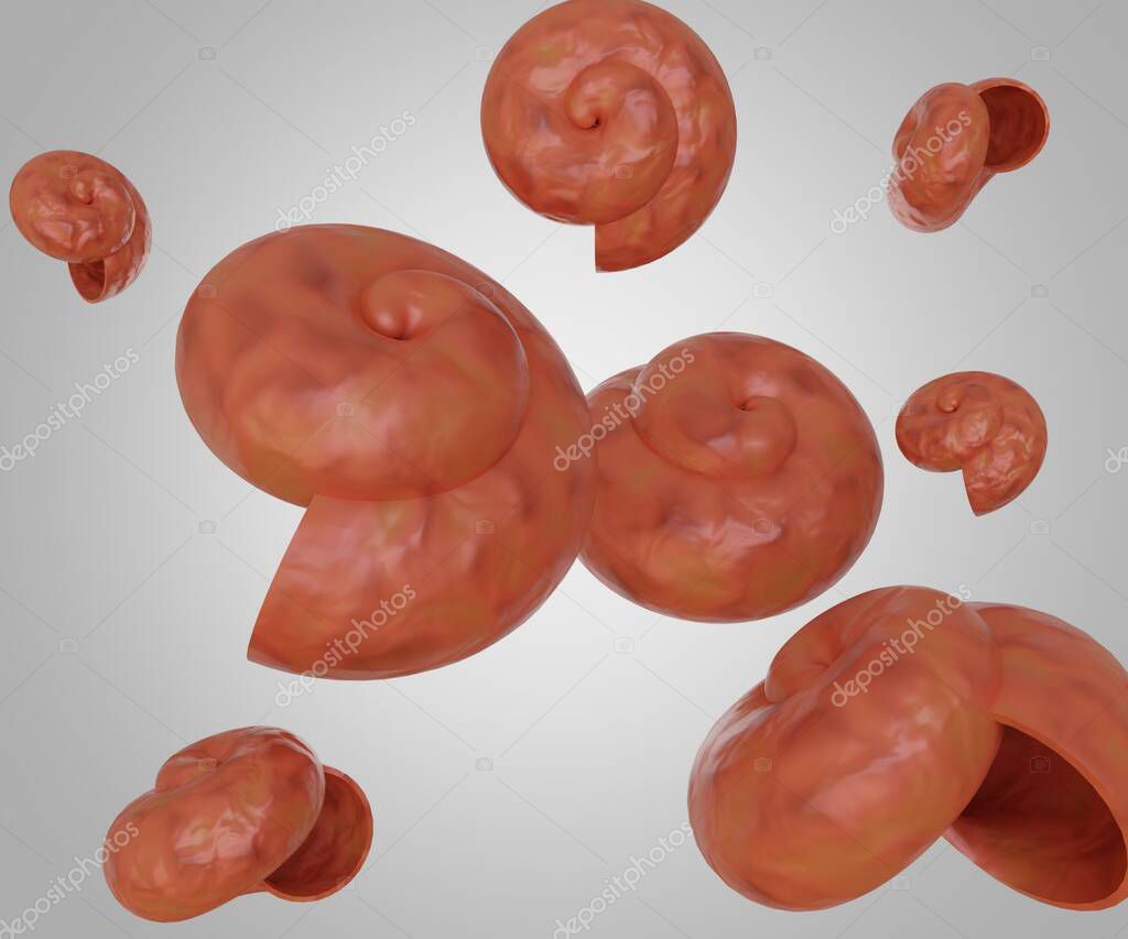 Saxitoxin (STX) es una neurotoxina potente y conocida como toxina ...